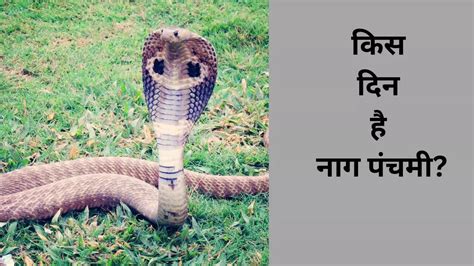 Nag Panchami Date Nag Panchami 2023 Date Time Shubh Muhurat In Hindi