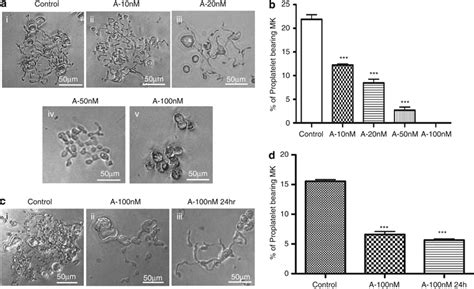 Abexinostat Affects Proplatelet Formation Cd41 Sorted Cells Were