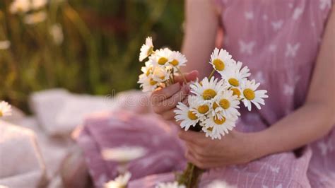 A Girl Makes A Bouquet Of Daisies Stock Video Video Of Garden
