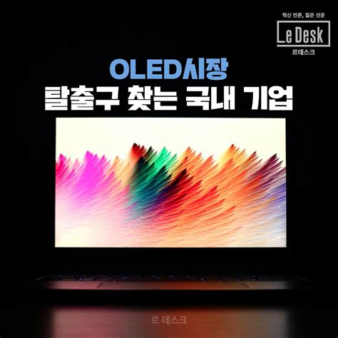 르데스크 Le Visual Oled 中 추격에 ‘활용으로 활로 찾는 韓기업들