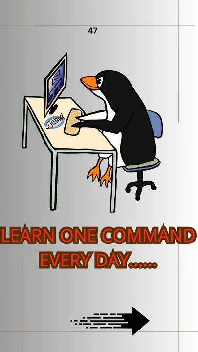 Learn One Command Every Day 47 Linuxtutorial