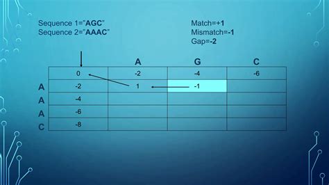 Needleman Wunsch Algorithmpptx