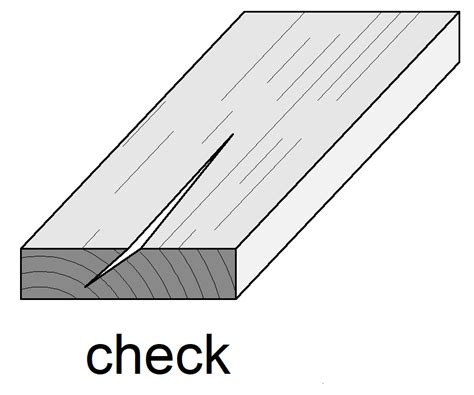 Timber Defects Checks At Terry Haskell Blog