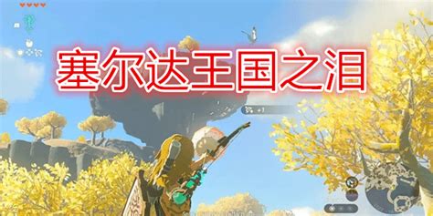 塞尔达王国之泪偷跑下载安卓版 塞尔达王国之泪手机版下载 塞尔达王国之泪蛋蛋模拟器版下载安装包 007游戏网