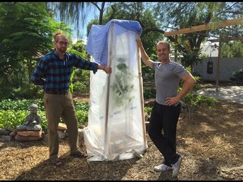 How To Frost Protect Your Tropical Fruit Trees Artofit