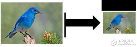 卷积神经网络原理 Csdn博客