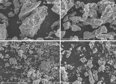 Sem Micrographs Of Ah Hap And Tc Hap A And B Micrographs Of Ah Hap