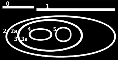 Sample Diagram Of Contour Outlines And Hierarchy Download Scientific