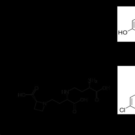 The Chemical Structure Of Some Bioactive Compounds Isolated From
