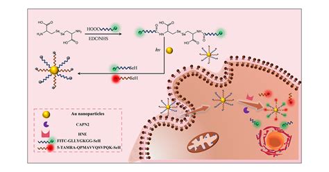Advancing Nonsmall Cell Lung Cancer Diagnosis Accuracy Via Dual Detection Fluorescent Nanoprobes
