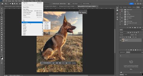 Blur Gallery Greyed Out Arw File Format Adobe Community 14307052