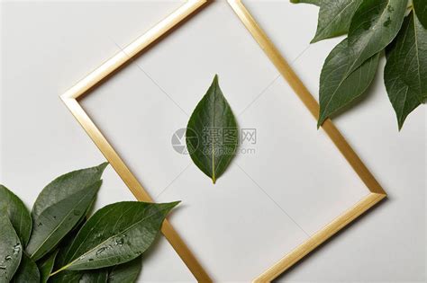 空的金色框架与叶子隔离在白色高清图片下载 正版图片503281919 摄图网