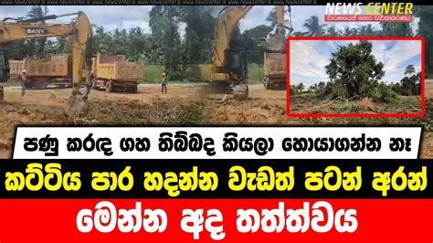 පණු කරඳ ගහ තිබ්බද කියලා හොයාගන්න නෑ කට්ටිය පාර හදන්න වැඩත් පටන් අරන්
