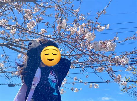 宮坂木実🐟地域密着タレント🌊 On Twitter スプリングがハズカムしてる🌸