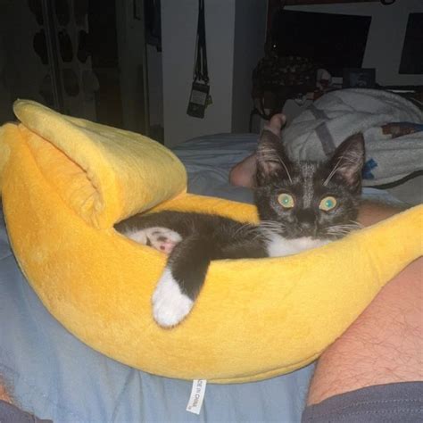 Dʀᴇᴡ Kᴇʟʟʏ Drewmkelly • Threads Say More