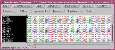 Birch Tutorial Phylogeny Distance Methods