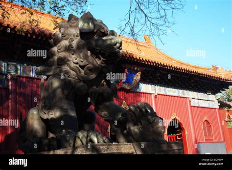 The Bronze Lion Before The Devaraja Hall In The Yonghe Lamasery