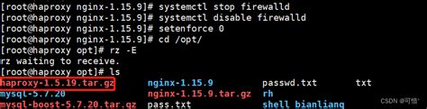 Haproxy Nginx搭建负载均衡集群 极客之音