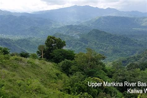 Pia Reforestation Of Upper Marikina River Basin Protected Landscape Gets Assurance From Denr