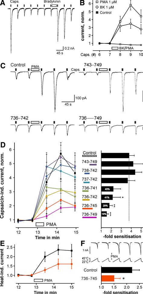 Intracellular Peptides Inhibit The Pma Induced Sensitization Of