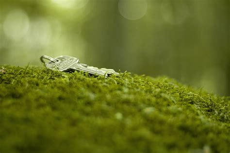 1 kostenlose Metallschlüssel und Schlüssel Bilder Pixabay