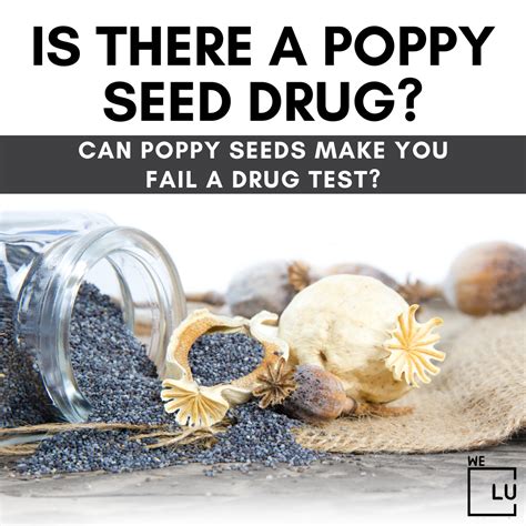 Is There A Poppy Seed Drug Test Can It Affect Drug Tests