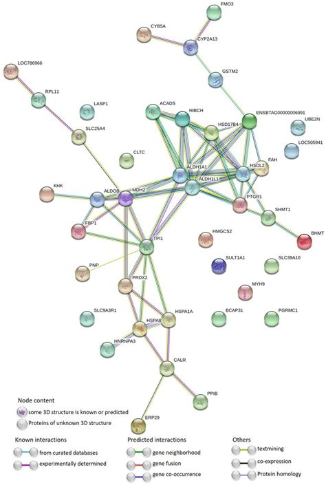 Protein Protein Interaction Network Of Differentially Abundant Proteins