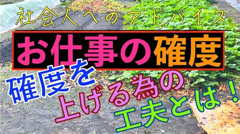 社会人へのアドバイス：お仕事を成功させる確率？！お仕事の確度？！確度を上げる為の工夫とは？！ Youtube