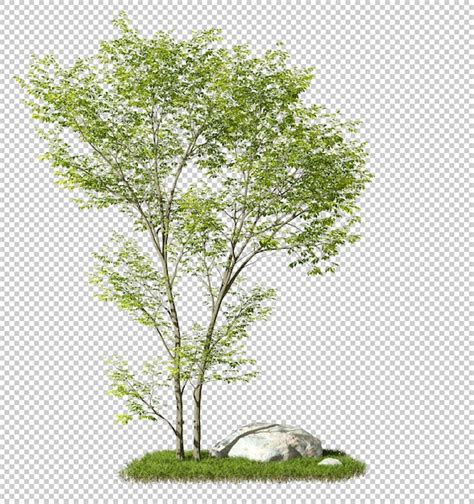 컴포지션 레이아웃 임업 컷 아웃 배경 3d 렌더링 프리미엄 Psd 파일