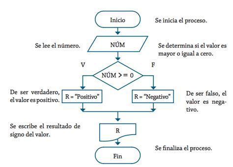 Diagrama De Flujo Do While Ejemplos Resueltos Coleccion De Ejemplo