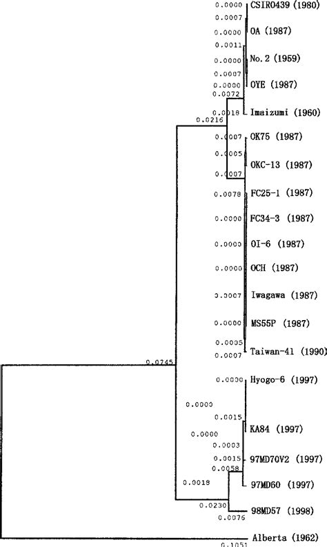 Figure 1 From Differences In Ibaraki Virus RNA Segment 3 Sequences From