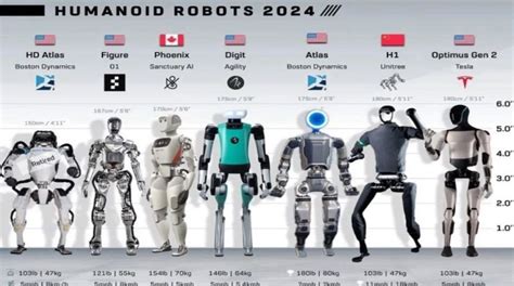 The Humanoid Robot Race