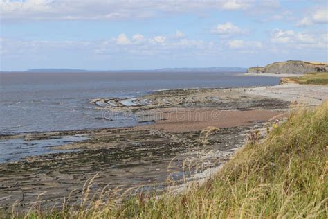 People Search For Fossils On The Rock Pavements On Kilve Beach Near