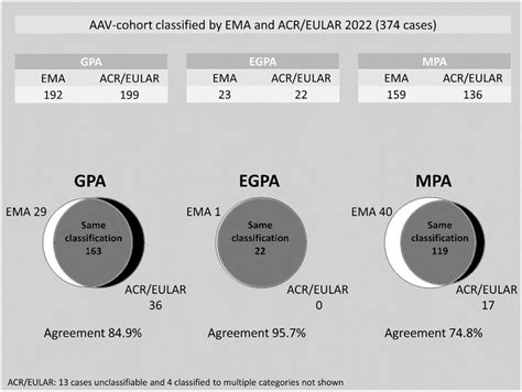 Classification According To Ema And Acr Eular Aav Anca Associated
