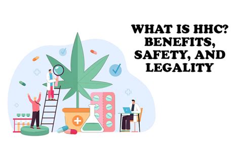 What Is Hhc Benefits Safety And Legality Bragging Mommy