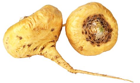 Does Maca Root Boost Testosterone