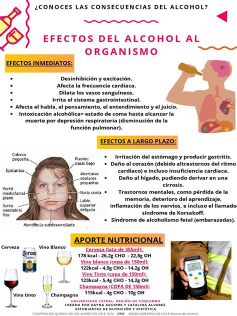 Efectos Del Alcohol Al Organismo Pdf Especialidades Medicas