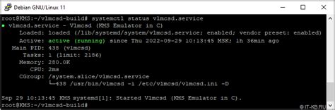 Kms сервер для Windowsoffice на Debian Linux 11 с Vlmcsd