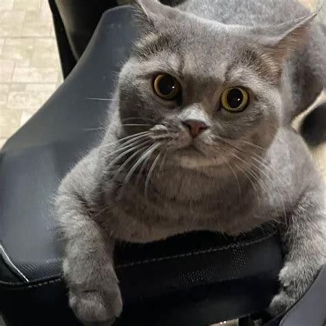 Yuen O • Threads Say More