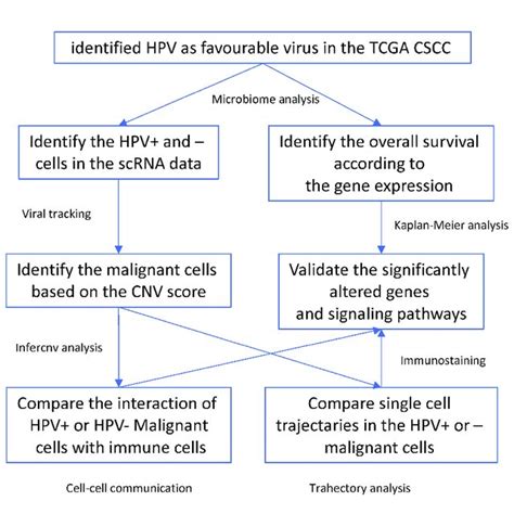 Workflow Diagram Of The Current Study Download Scientific Diagram
