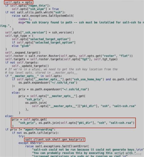 Saltstack未授权访问及命令执行漏洞分析（cve 2020 1684625592）cherrypy漏洞 Csdn博客