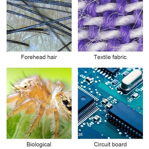 Portable 1000x Magnification Wifi Microscope Handh Grandado