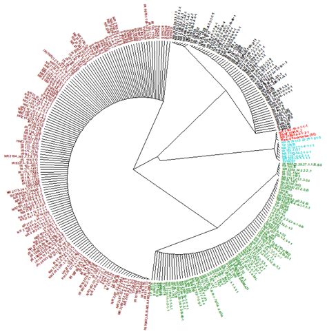 Upgma Clustering Of 291 Rice Genotypes Based On Final Scoring For Leaf