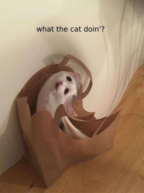 Resized Grayscale Image