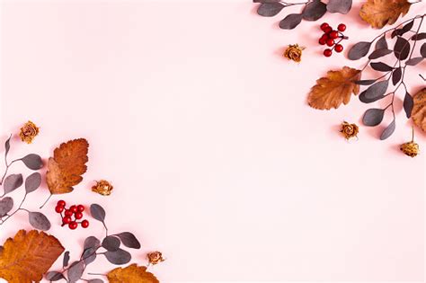 가을 구성 말린 잎으로 만든 프레임 분홍색 배경에 꽃 가을 가을 컨셉 플랫 레이 상단 보기 복사 공간 가을에 대한 스톡 사진 및