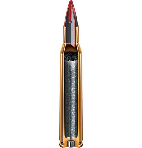 Hornady 243 Win 75gr V Max Stephen And Son Gunmakers Ltd