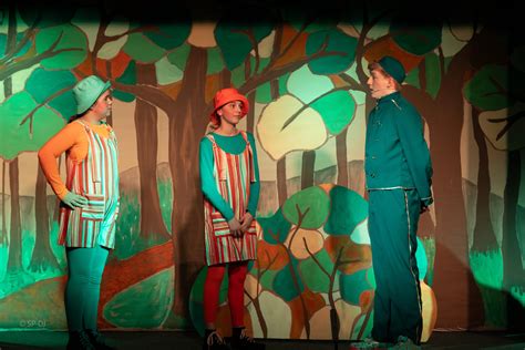 Production Information Cinderella By Limelight Scripts Shipham Players