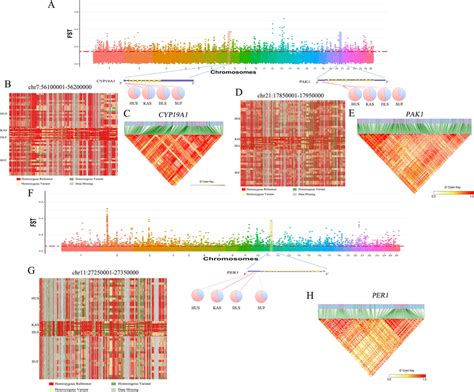 Genome Wide Annotations During Sheep Of Seasonal Reproduction A