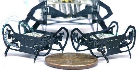 Hamr Jr Coin Sized Robot By Harvard Researchers Inspired By A Cockroach