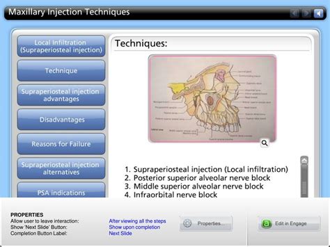 Ppt Local Anesthetics In Dentistry Techniques Uses And Management